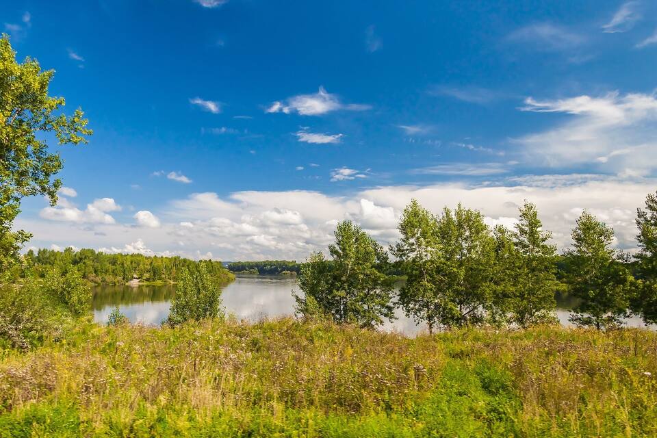 Um lago rodeado por árvores e vegetação sob um céu azul límpido.