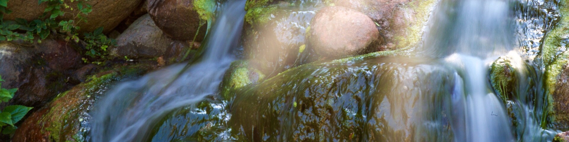 Uma pequena cascata com pedras cobertas de musgo e folhagem verde.