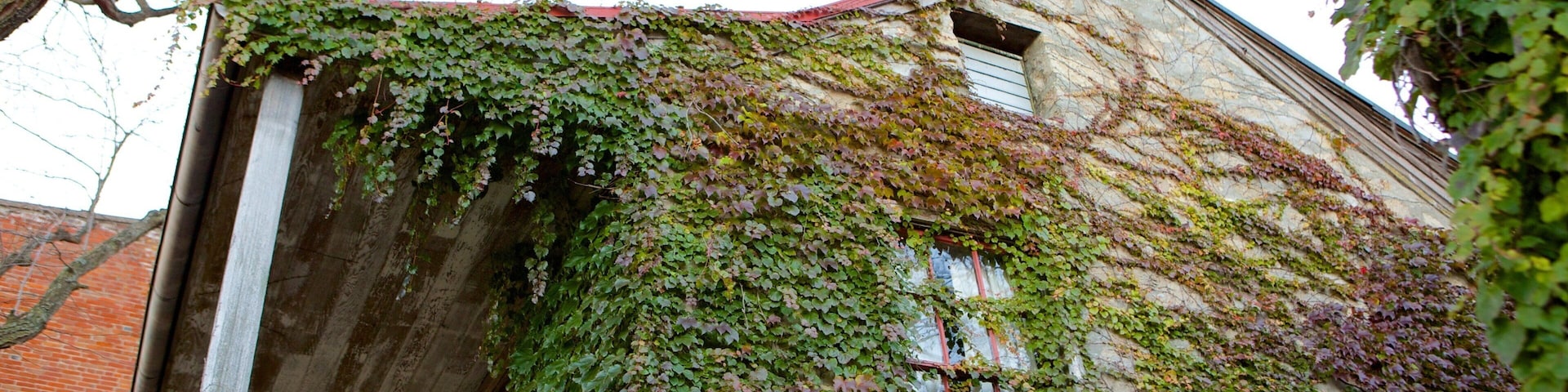 Galena showing heritage elements and a house