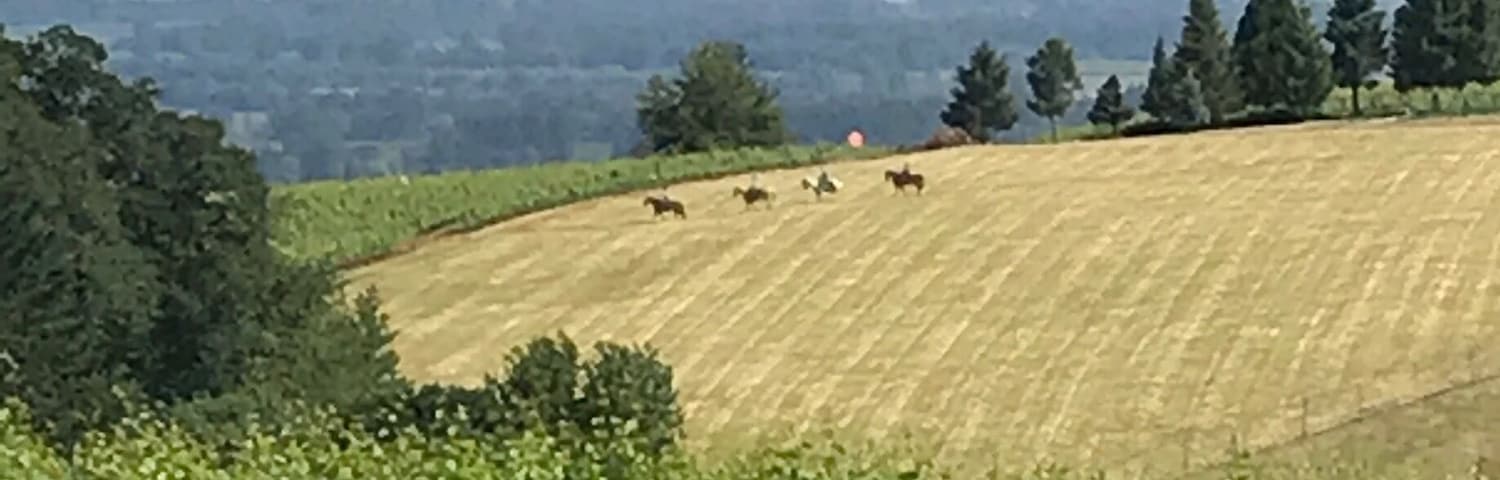 Great winery! Beautiful scenery and great wines make this a must stop!