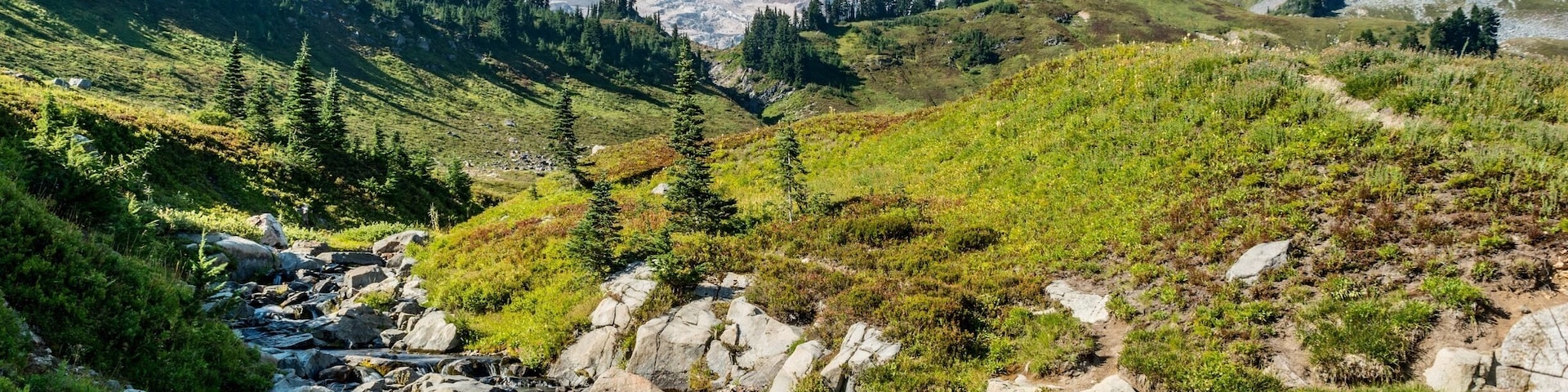 Like the name suggests... Paradise!