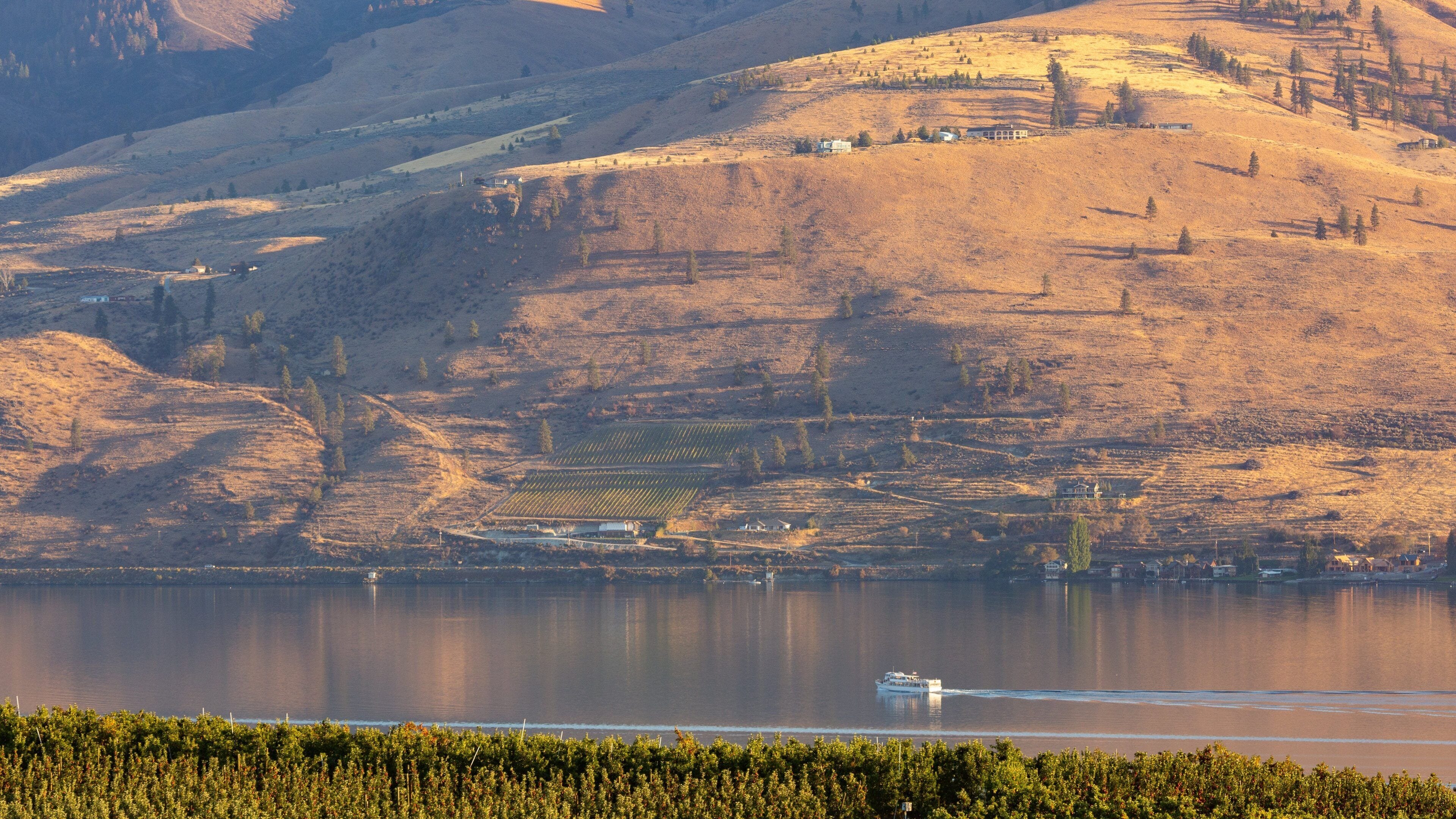 Vinhedo, lago e paisagem montanhosa com edifícios espalhados.