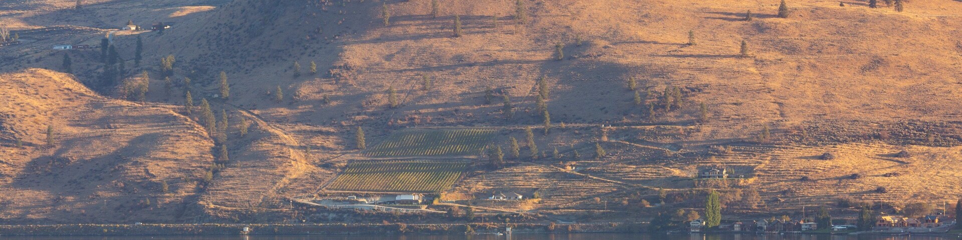 Vinhedo, lago e paisagem montanhosa com edifícios espalhados.