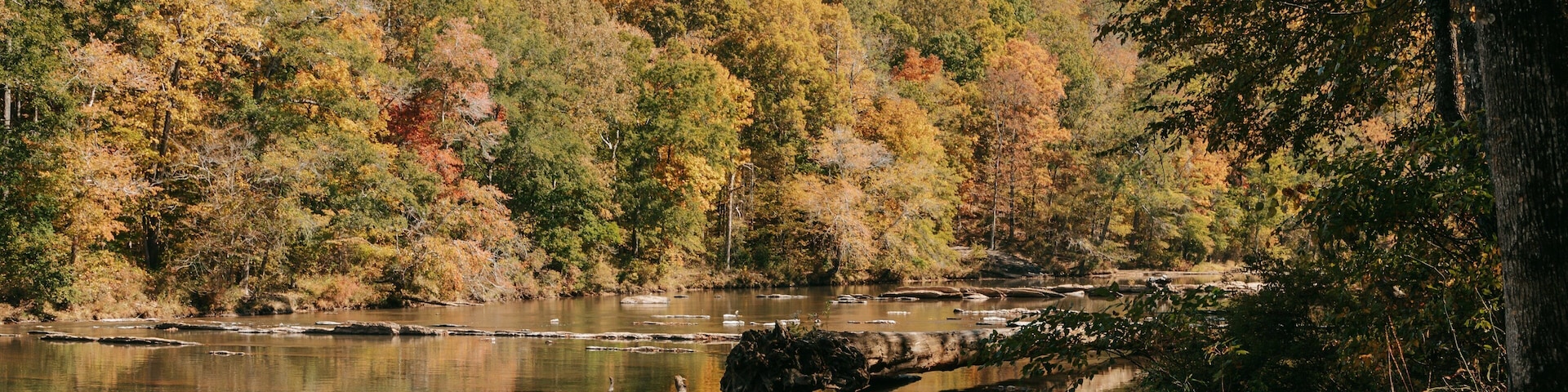 Sweetwater Creek State Park featuring a river or creek and forest scenes