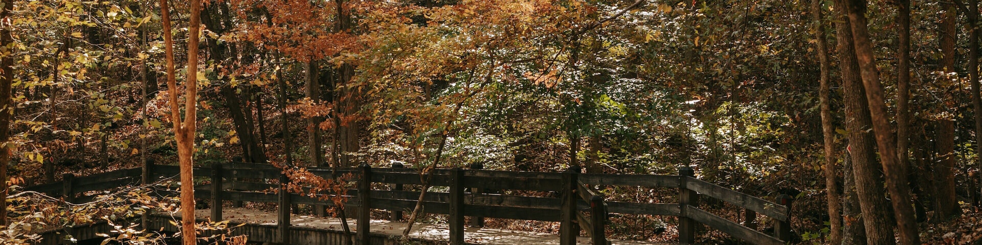 Sweetwater Creek State Park showing a garden, fall colors and forest scenes