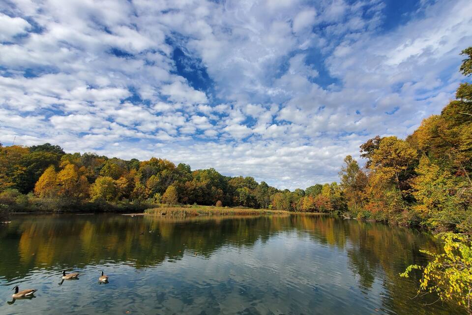 Um lago tranquilo rodeado por árvores em tons de outono e um céu parcialmente nublado.