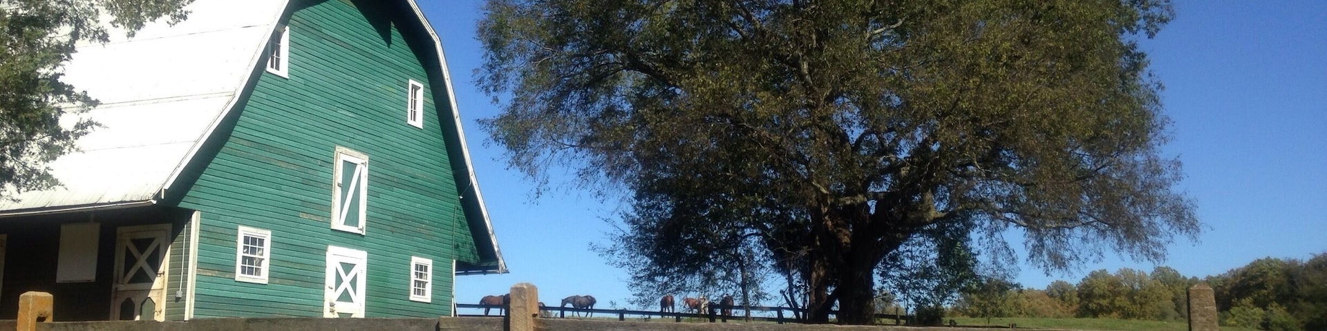 James Madison homestead, horses grazing in fields outside an old abandon farm