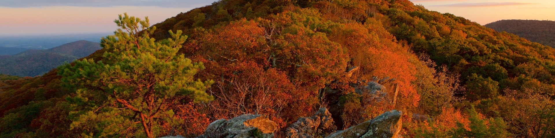 Shenandoah National Park featuring forests, mountains and a sunset