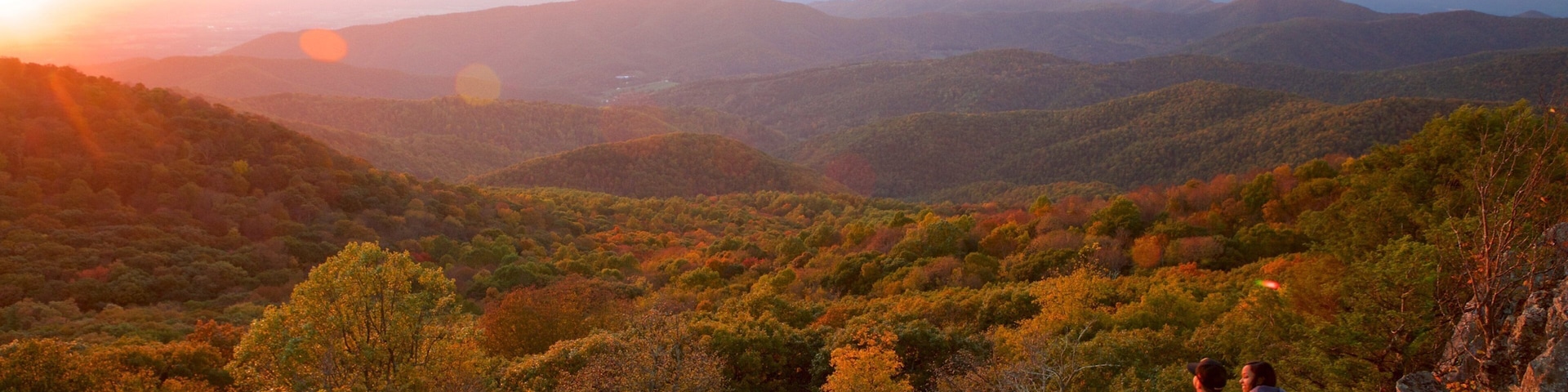 Shenandoah National Park which includes mountains, tranquil scenes and forests