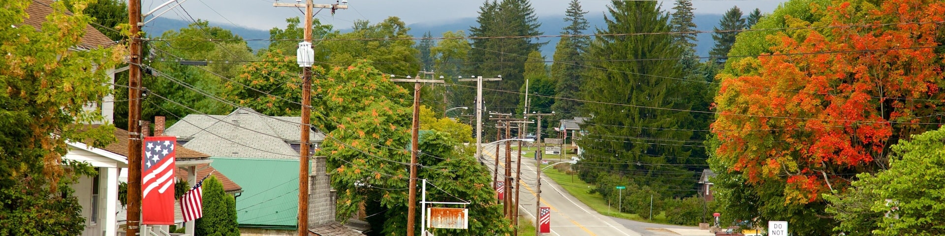 Southwest Pennsylvania showing a small town or village and fall colors