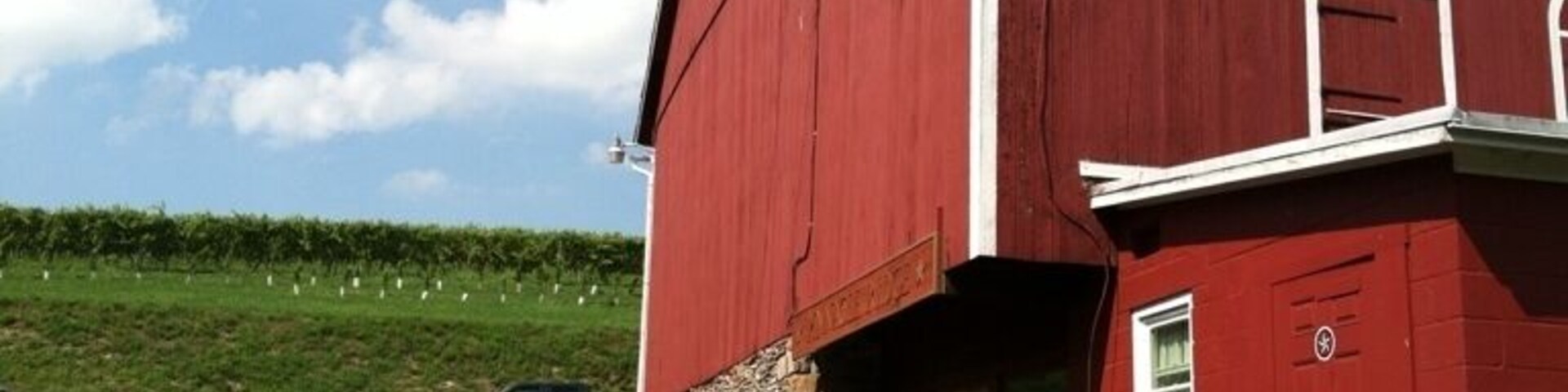 Great winery and vineyards in PA on our "spend the day going to as many wineries as possible" expedition. You'll like it. Give em a try.