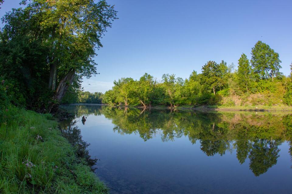 Um rio calmo com vegetação densa e árvores refletidas na água.