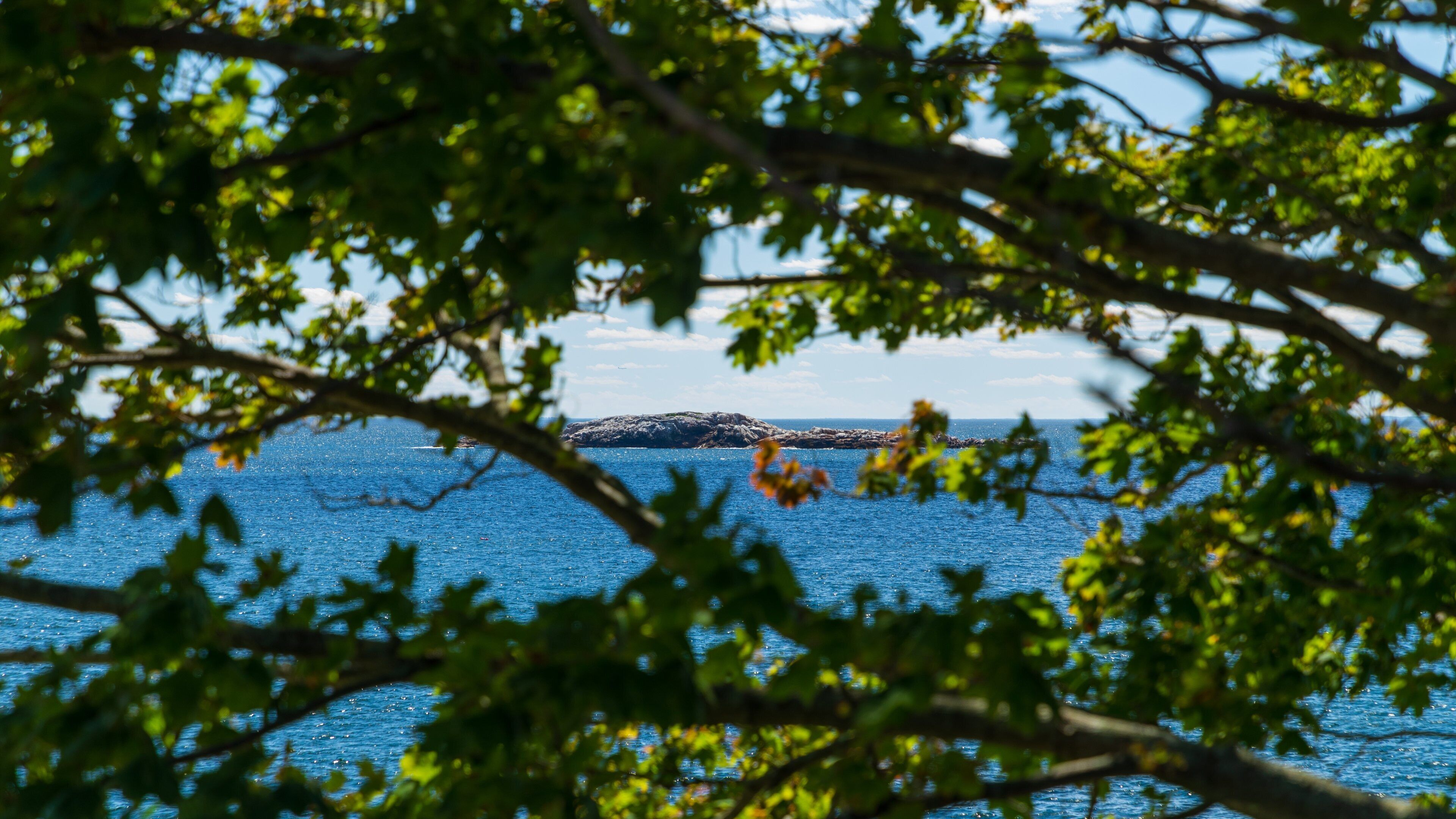 Coolidge Reservation which includes general coastal views