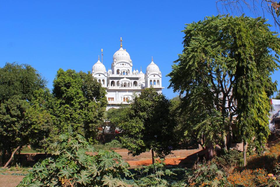Um templo branco com várias cúpulas, rodeado por árvores verdes e exuberantes.