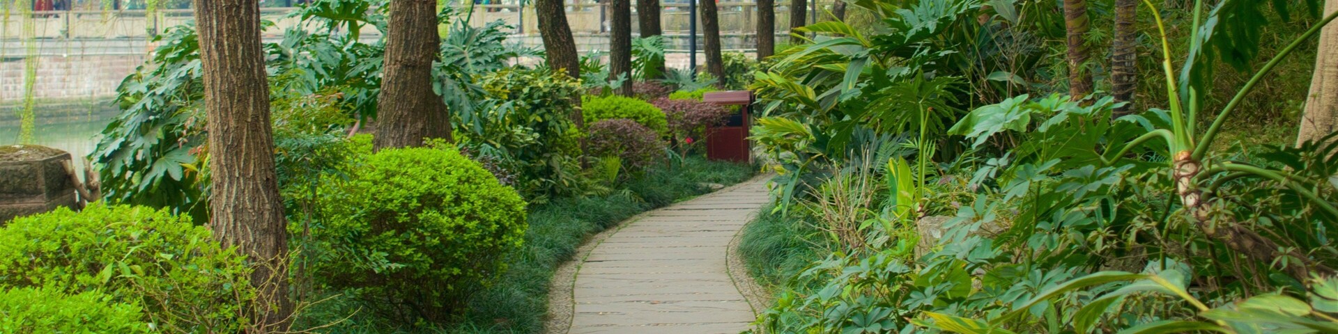 Um caminho de pedra serpenteando por um jardim exuberante, com diversas árvores e arbustos.