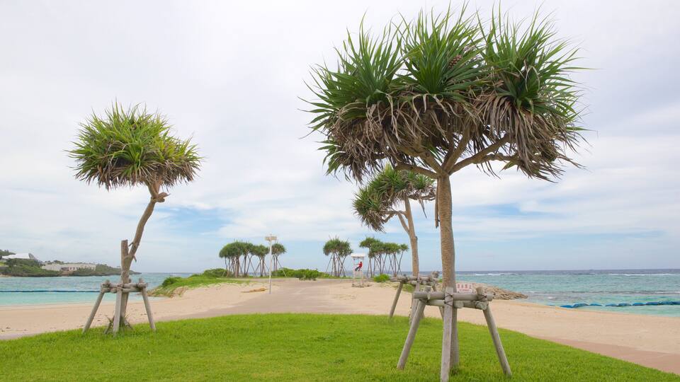 Emerald Beach que inclui paisagens litorâneas e uma praia