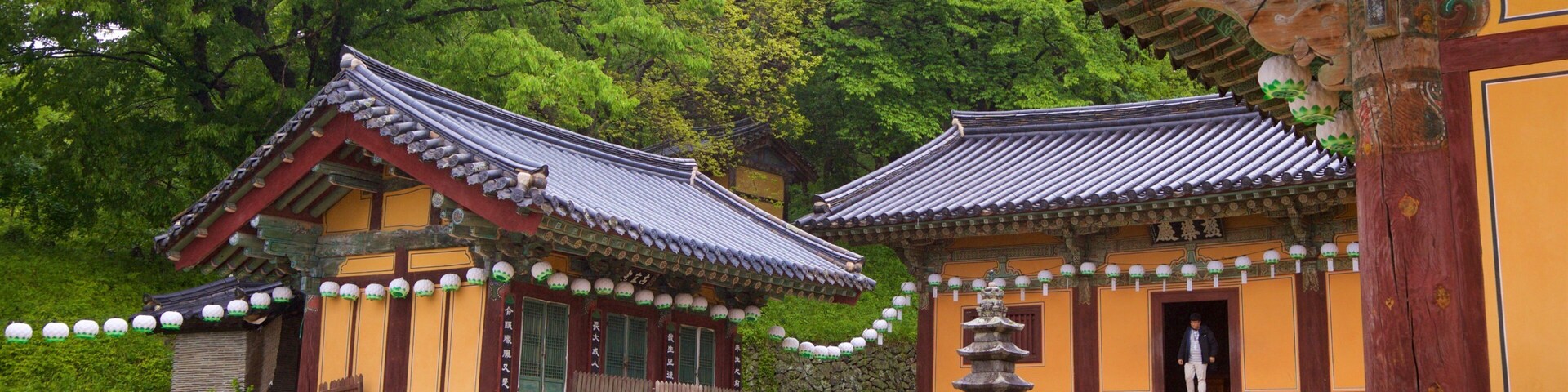 Bongjeongsa Temple showing heritage elements and a temple or place of worship