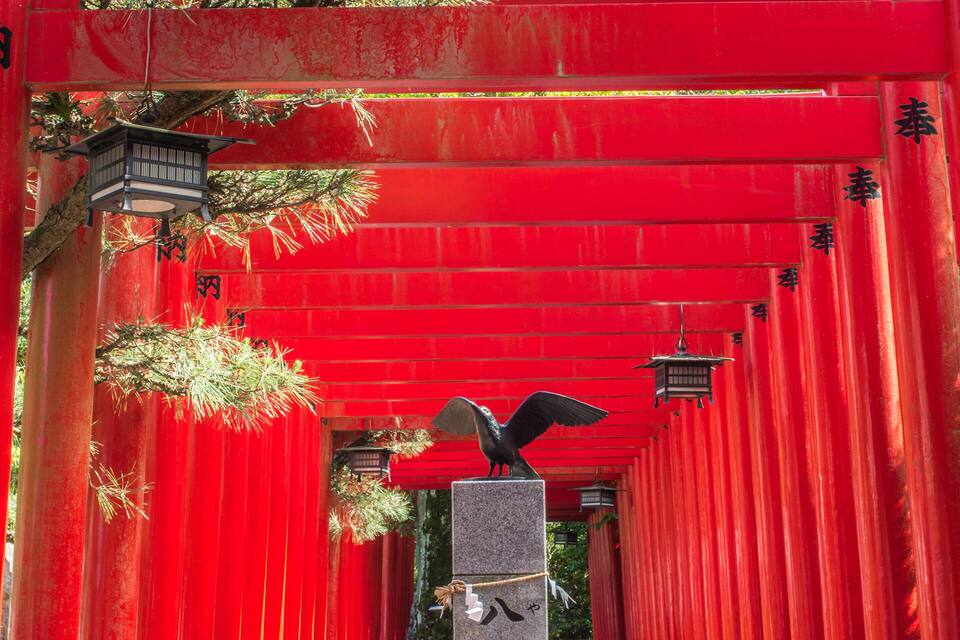 Uma fileira de portões torii vermelhos que levam a um santuário.