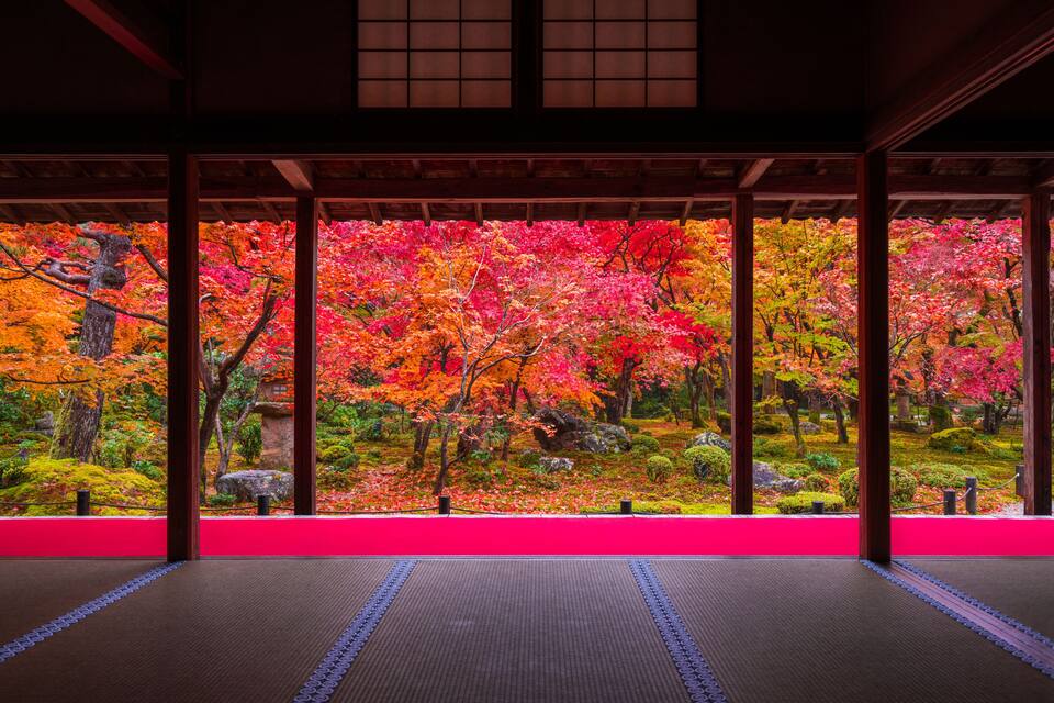 Um edifício japonês tradicional com tatames e vista para um jardim vibrante de outono.
