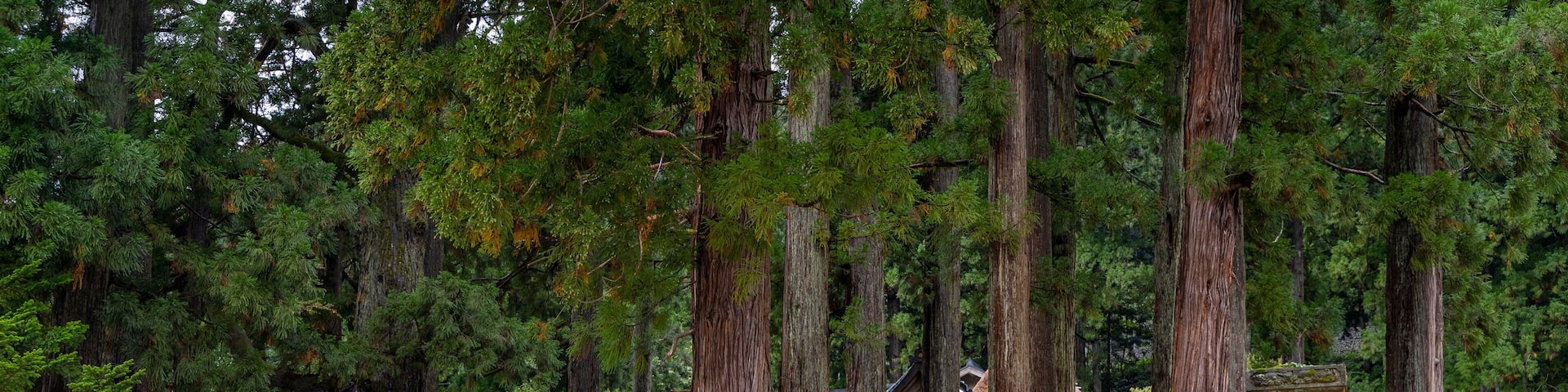 Hakusan Shrine featuring heritage elements and a temple or place of worship