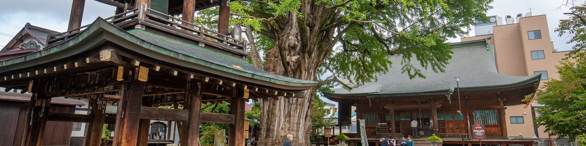 Hida Kokubunji Temple which includes heritage elements