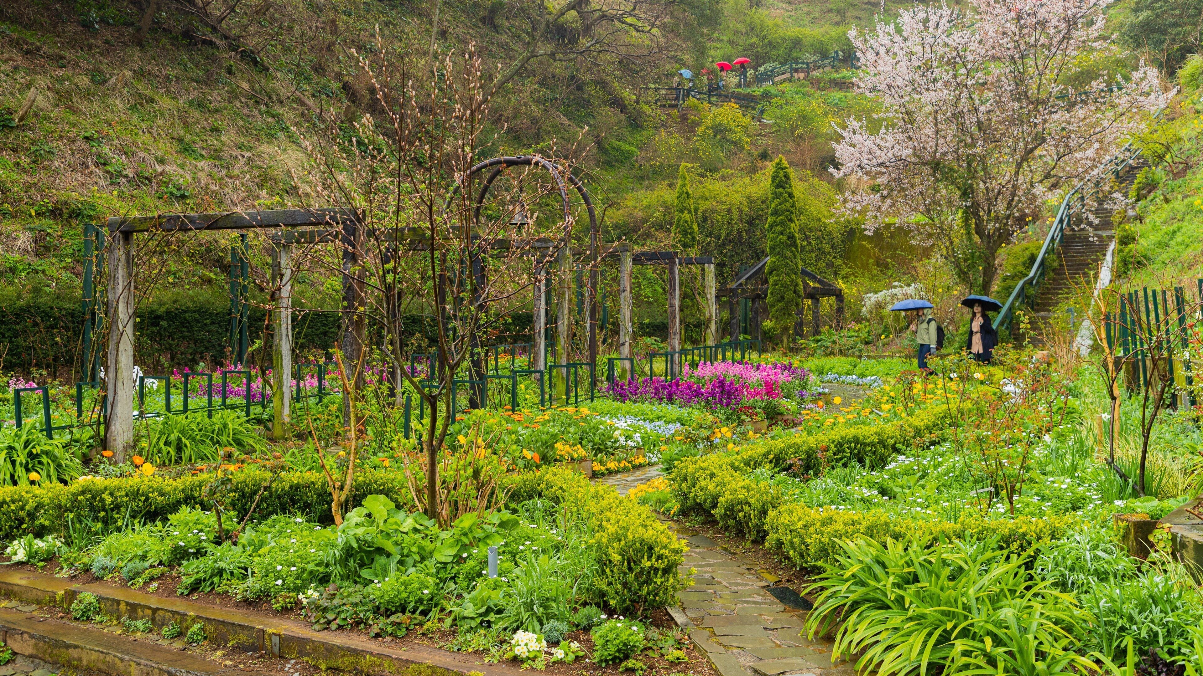 Um jardim exuberante com diversas plantas floridas, uma pérgola de madeira e um caminho de pedra.