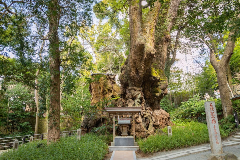 Uma área arborizada com uma grande formação rochosa, um santuário e um caminho de pedra.