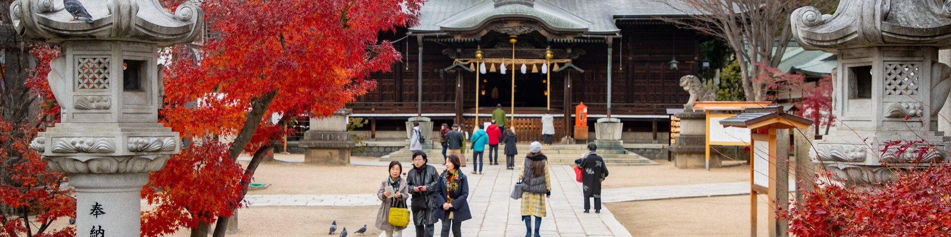 Um templo japonês tradicional com folhas de outono vermelhas, lanternas de pedra e pessoas caminhando no pátio.