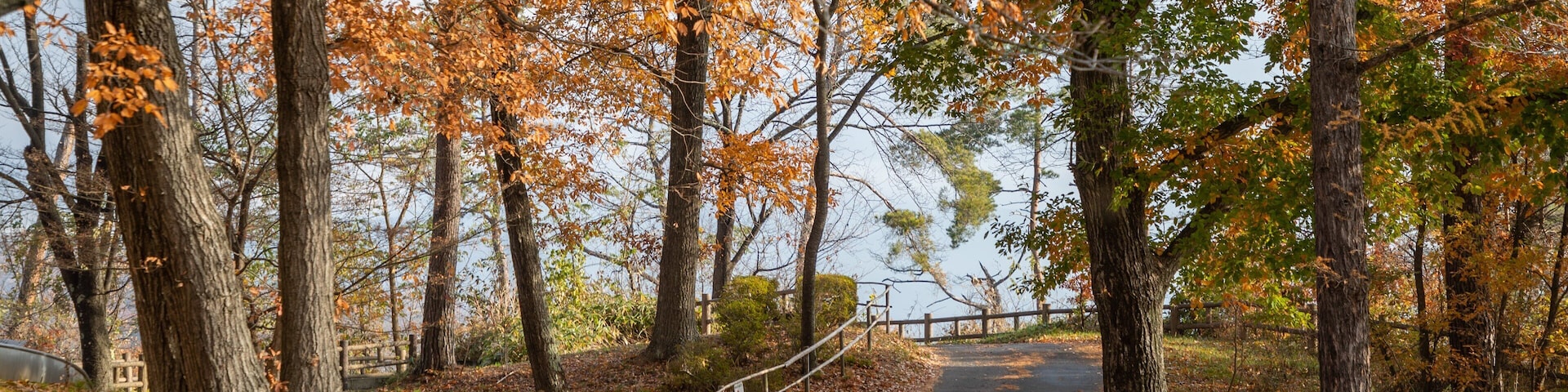 Alps Park Matsumoto showing a garden and fall colors