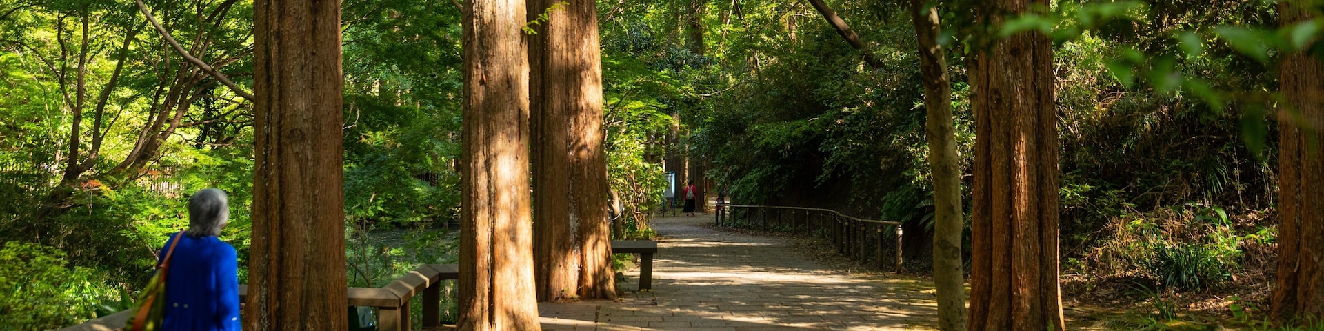 Ikuta Park which includes forest scenes and a park as well as an individual femail
