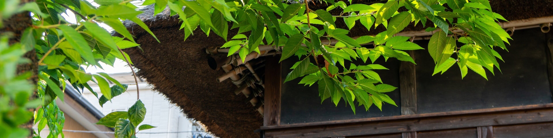 Former House of Otsuka Family