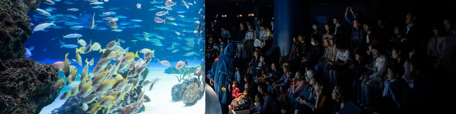 The Sunshine 60 Observatory