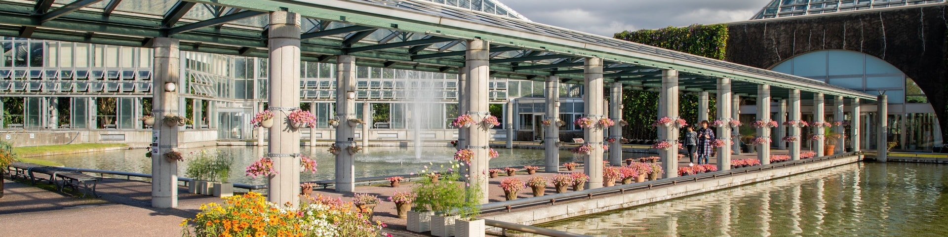 Toyama showing a pond and flowers