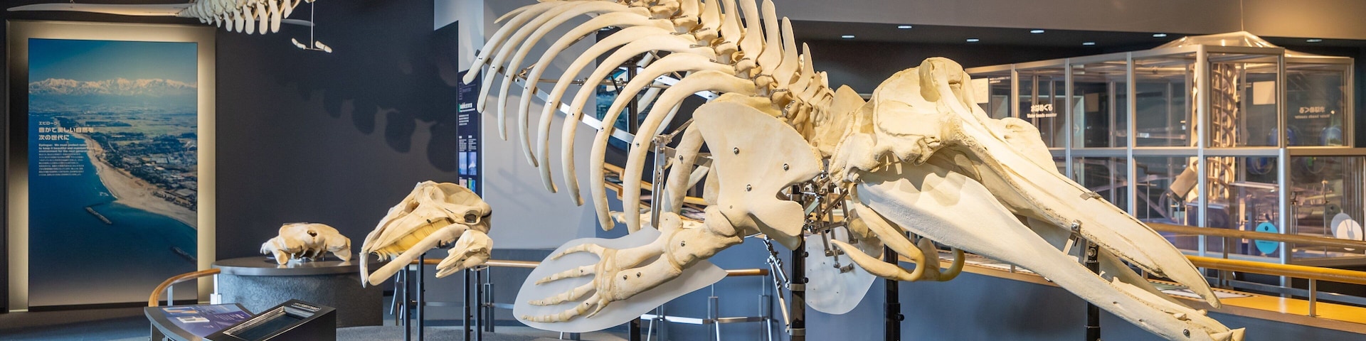 Toyama Science Museum