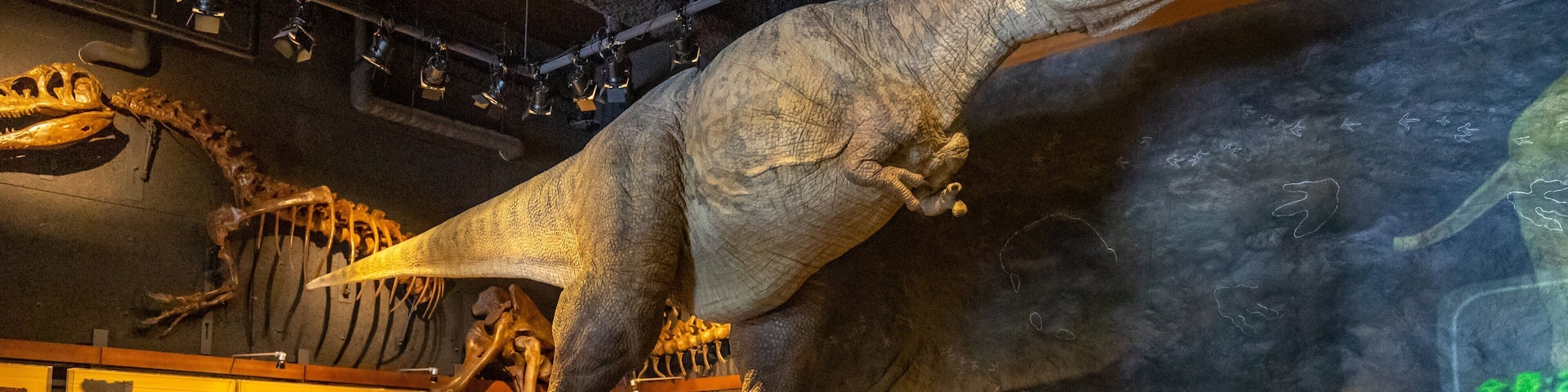 Toyama Science Museum