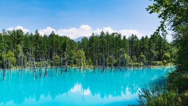 Um lago azul-turquesa rodeado por uma floresta densa e um céu azul límpido.