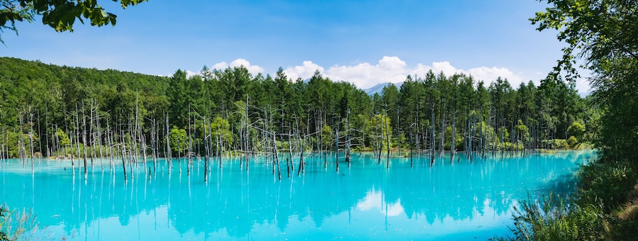 Um lago azul-turquesa rodeado por uma floresta densa e um céu azul límpido.