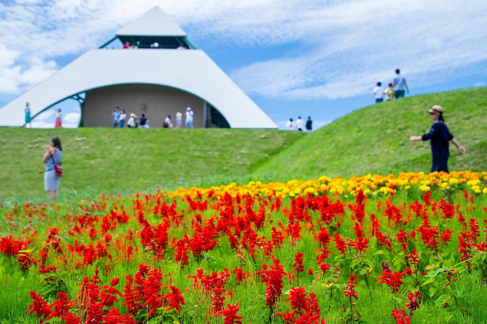Um campo de flores vermelhas, um edifício branco com telhado triangular e pessoas numa colina.