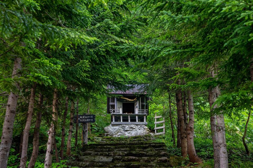 Um tradicional portão torii japonês, rodeado por vegetação exuberante e uma escadaria de pedra que leva a um pequeno santuário.