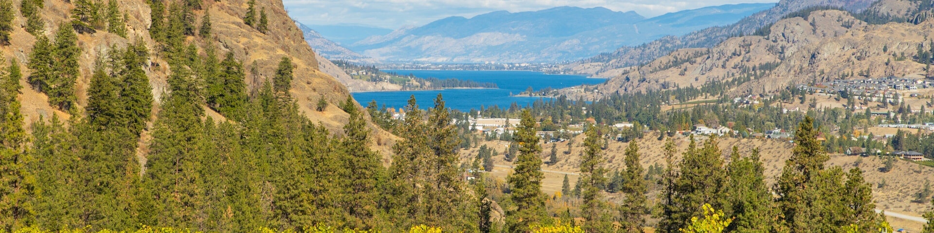 See Ya Later Ranch featuring tranquil scenes and mountains