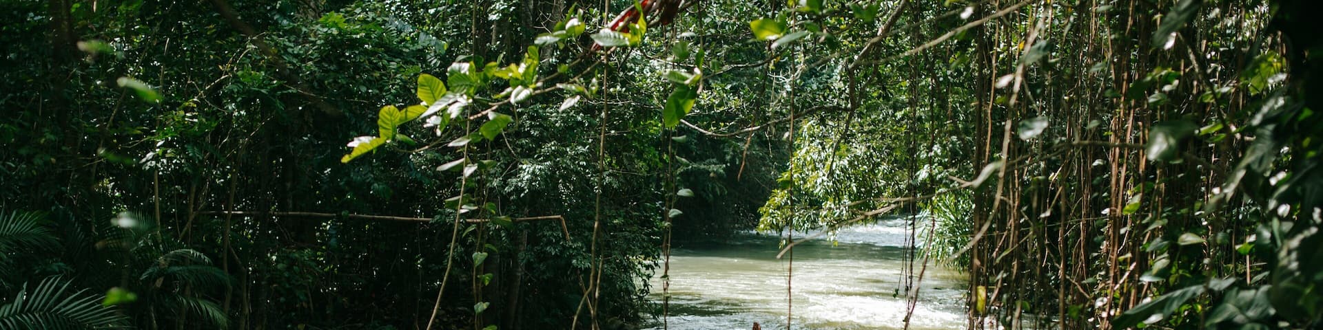 Martha Brae River which includes kayaking or canoeing and a river or creek as well as an individual male