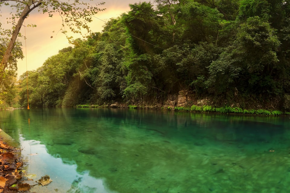 Um rio límpido rodeado por floresta densa e margem rochosa.