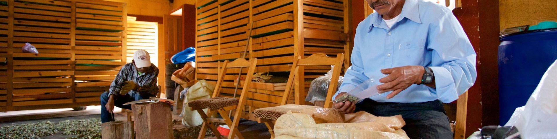 Mayan Medicine Museum showing interior views as well as an individual male