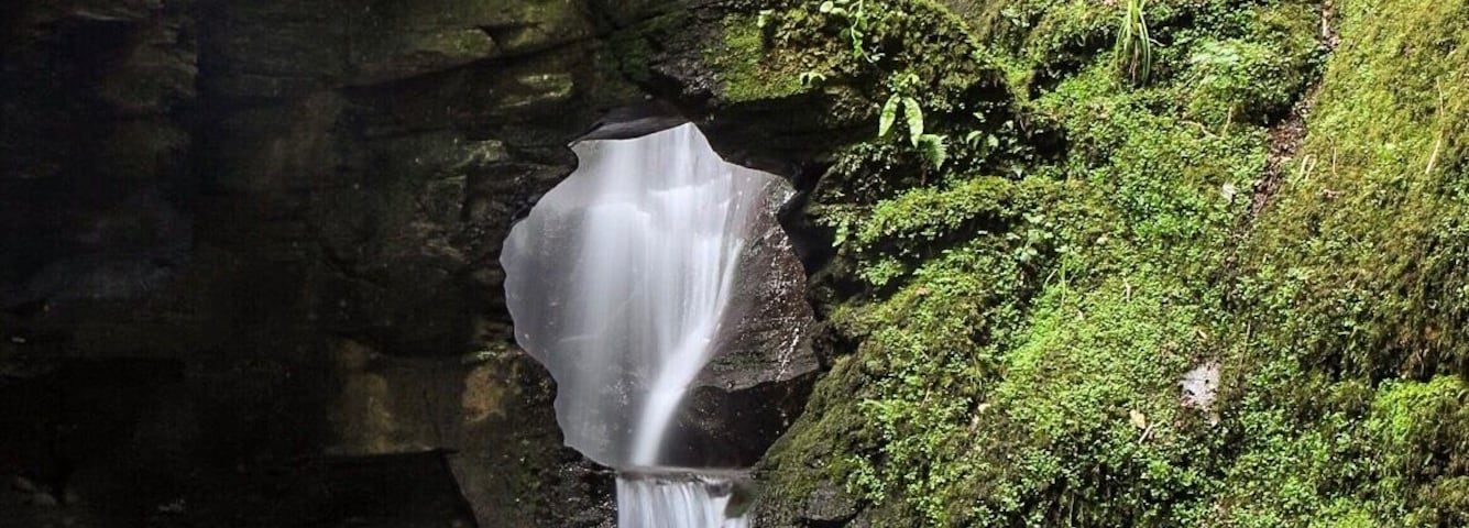 After my camera fell into the welsh sea a couple of years ago and not being able to photograph a waterfall I was determined to capture one in Cornwall. Glad we stopped here at St Nectans Glen. If you visit prepare for the walk from the car park to the entrance of the falls, not far my yourself but harder with kids, although the walk is beautiful