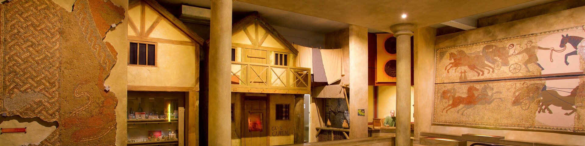 Hull and East Riding Museum showing interior views