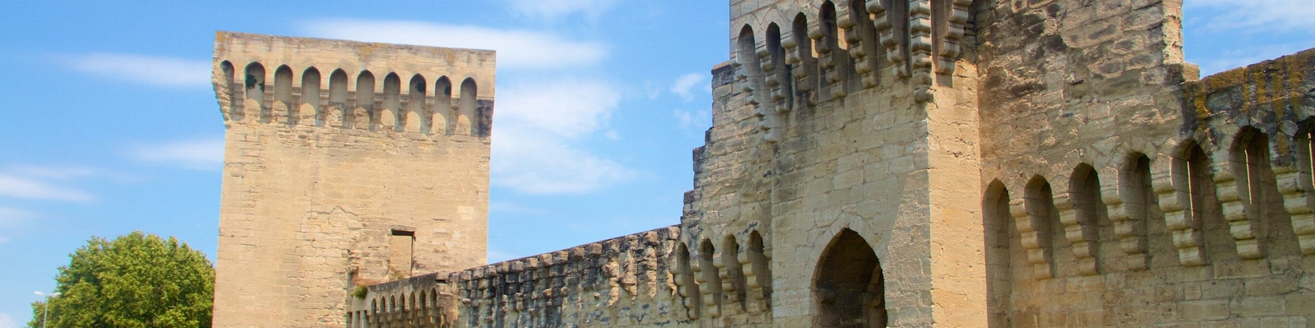 Avignon featuring heritage elements