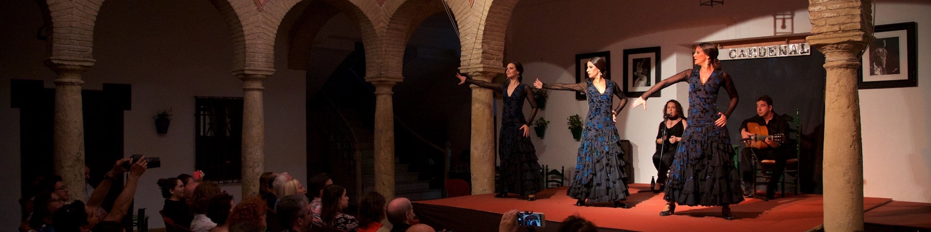 Cordoba featuring performance art and interior views as well as a large group of people