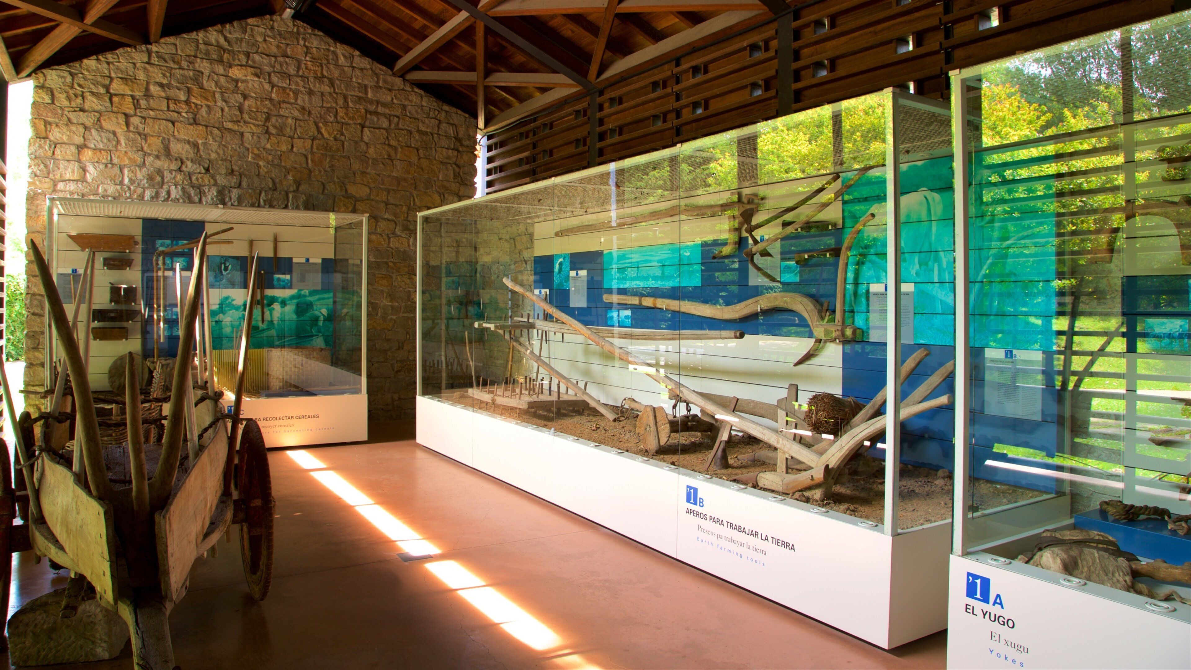 Exposição de museu com ferramentas agrícolas antigas e uma parede de pedra.