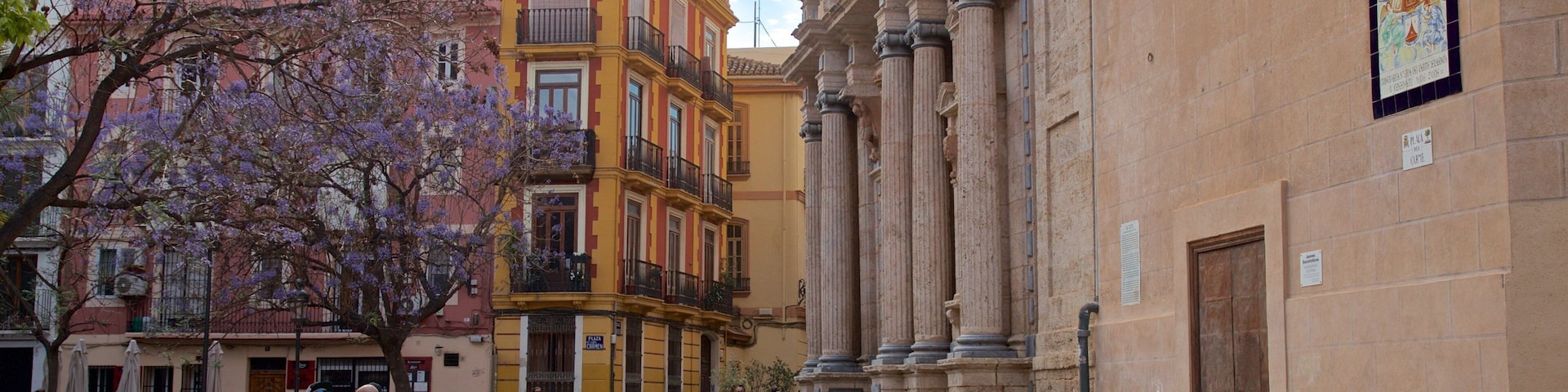 Plaza del Carmen which includes street scenes as well as a couple