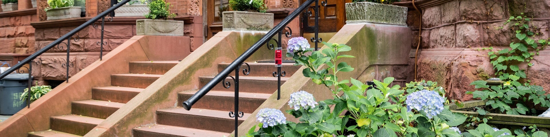 Montgomery Place showing wildflowers